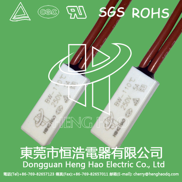 BW fan motor thermal fuse,BW motor thermal protector